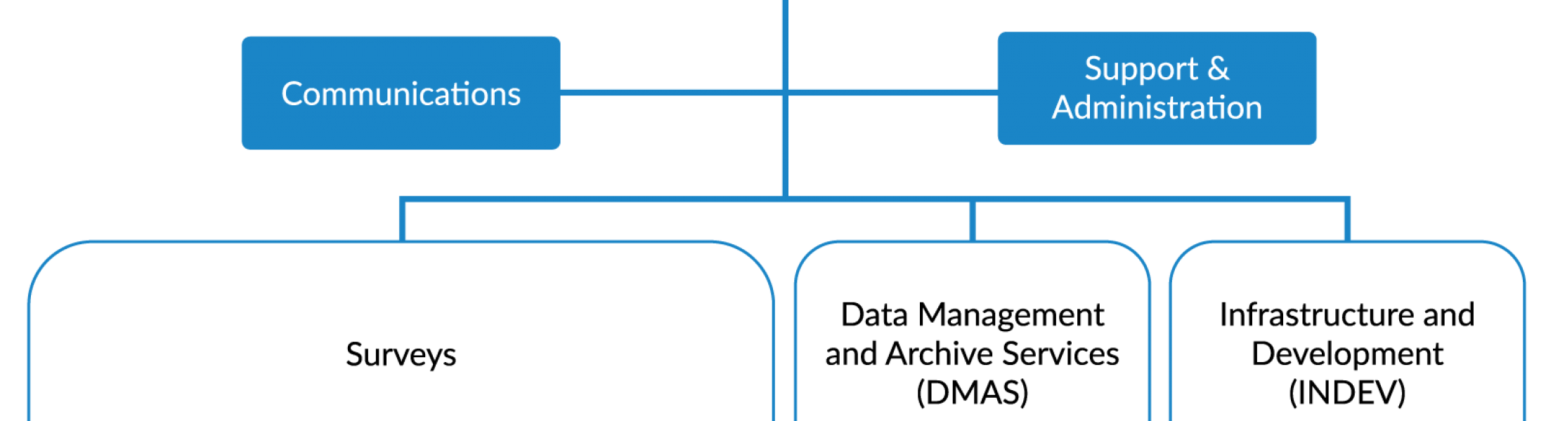 organisation-chart-2024 | FORS